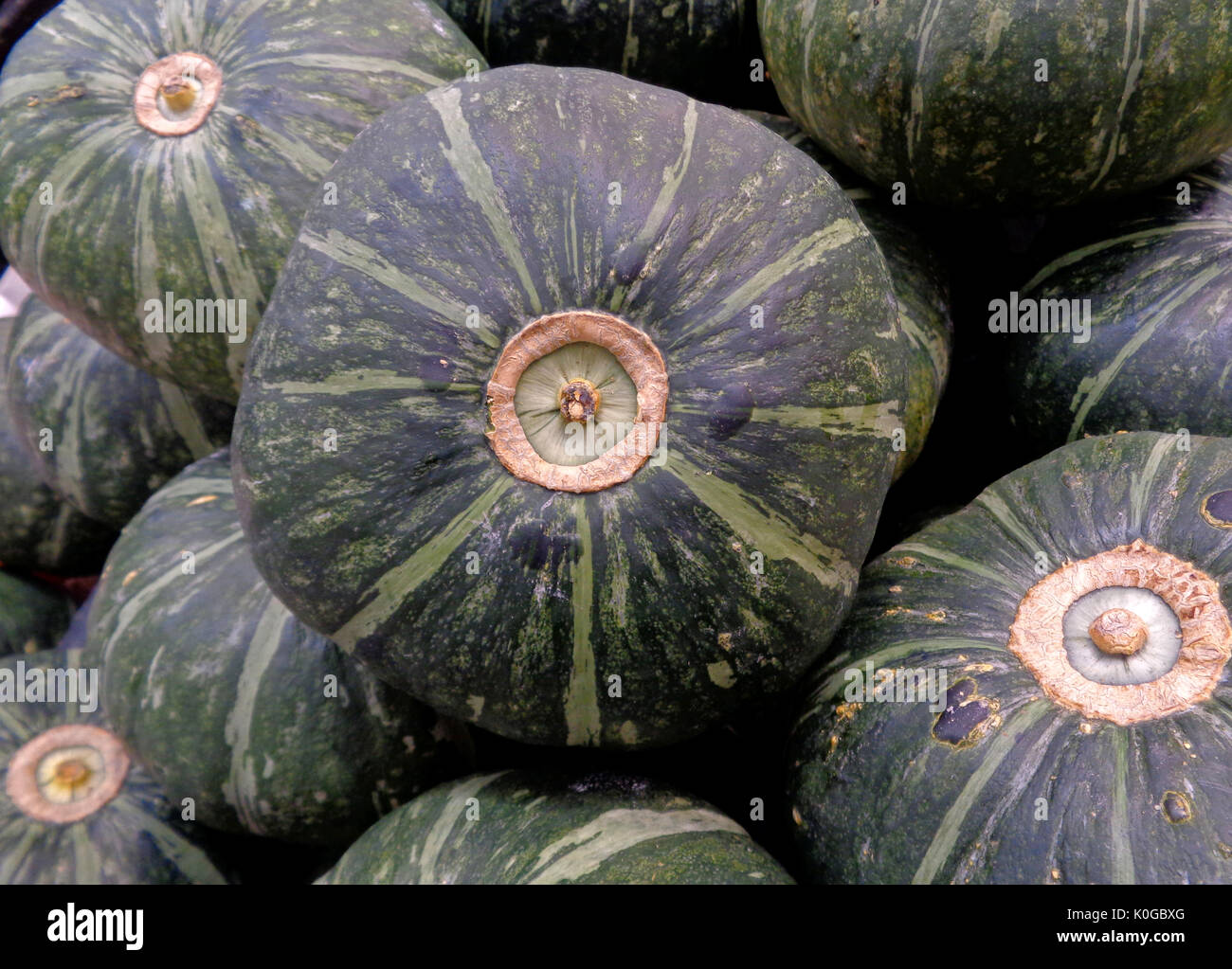 Pile of dark green color tropical pumpkins Stock Photo - Alamy