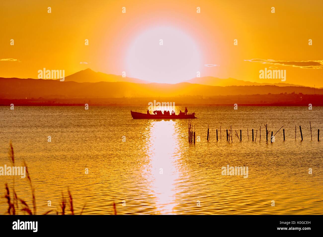 Lake of the albufera hi-res stock photography and images - Alamy