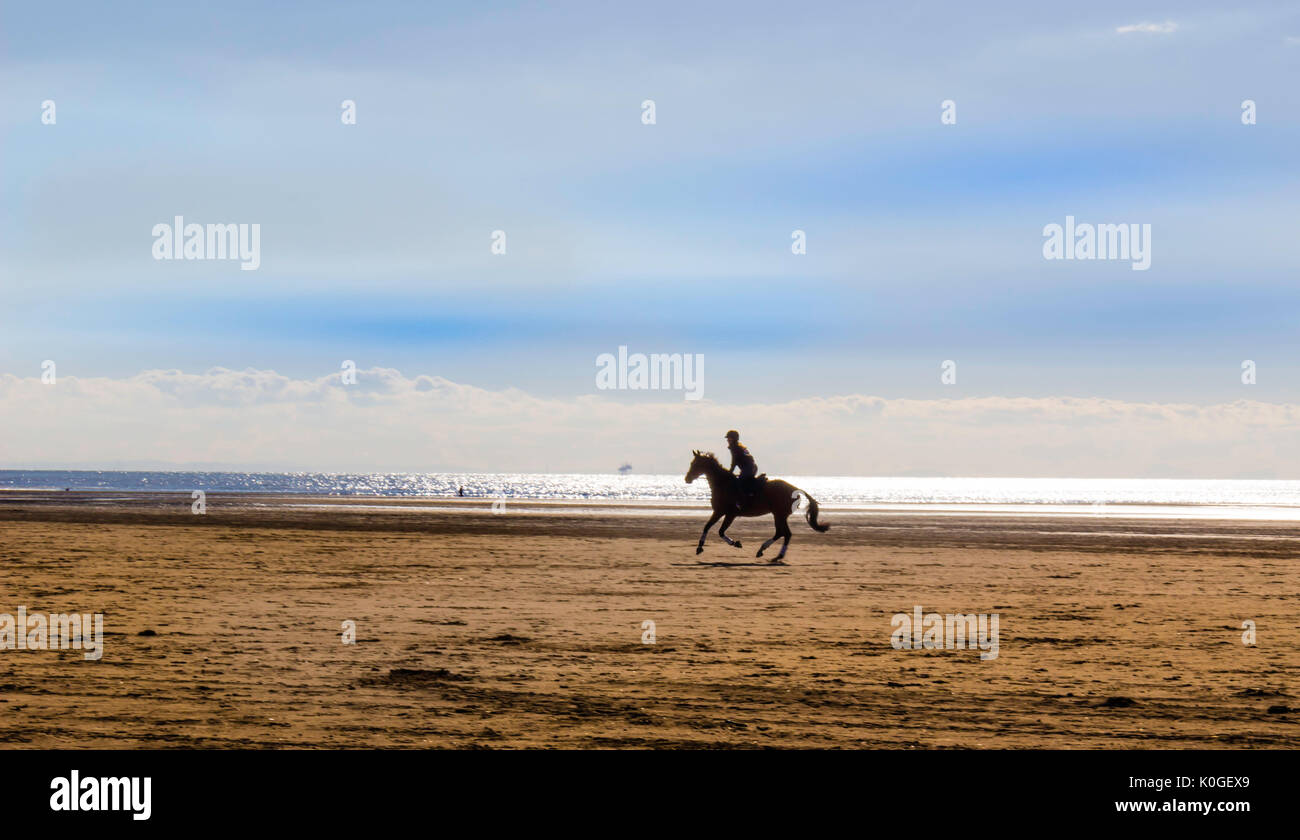 Horse ride on the beach Stock Photo - Alamy