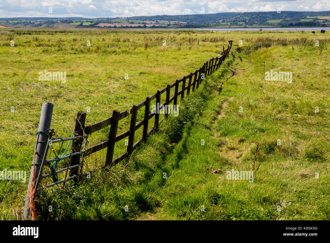 On gloucester sharpness canal slimbridge hi-res stock photography and ...