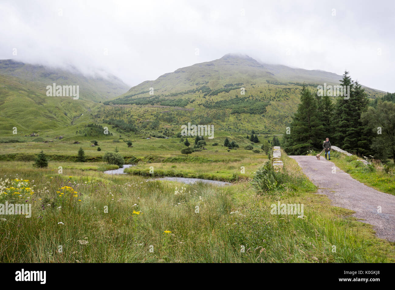 Man walking with his dog along The Butter Bridge, Glen Kinglas, Argyll ...