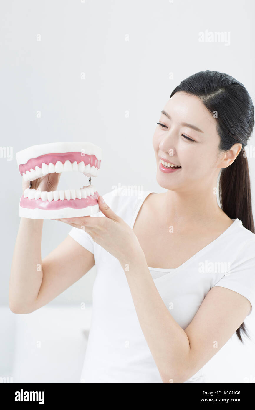 Dental models hi-res stock photography and images - Alamy