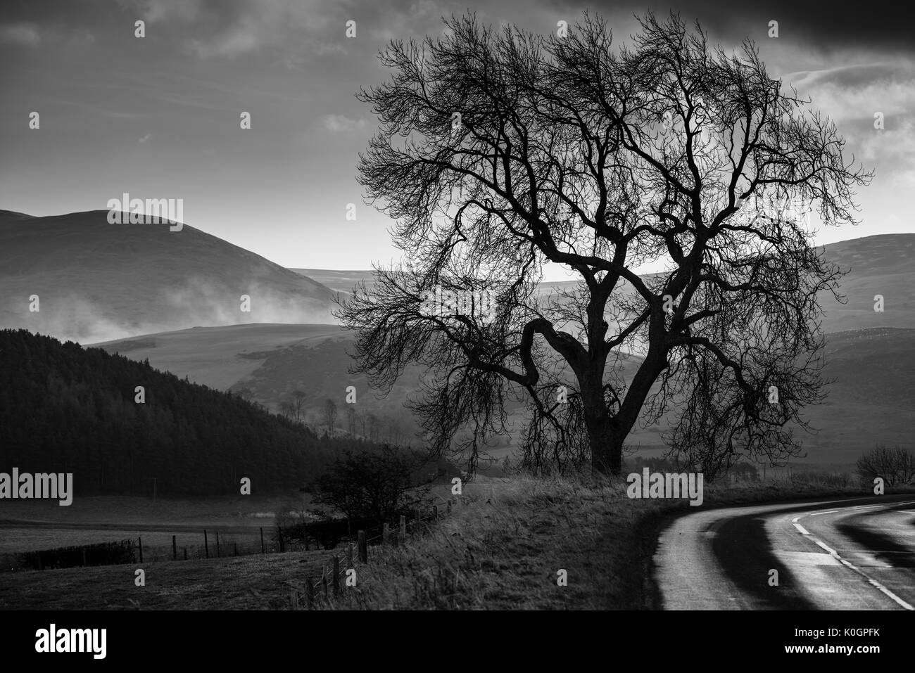 Bowmont valley hi-res stock photography and images - Alamy