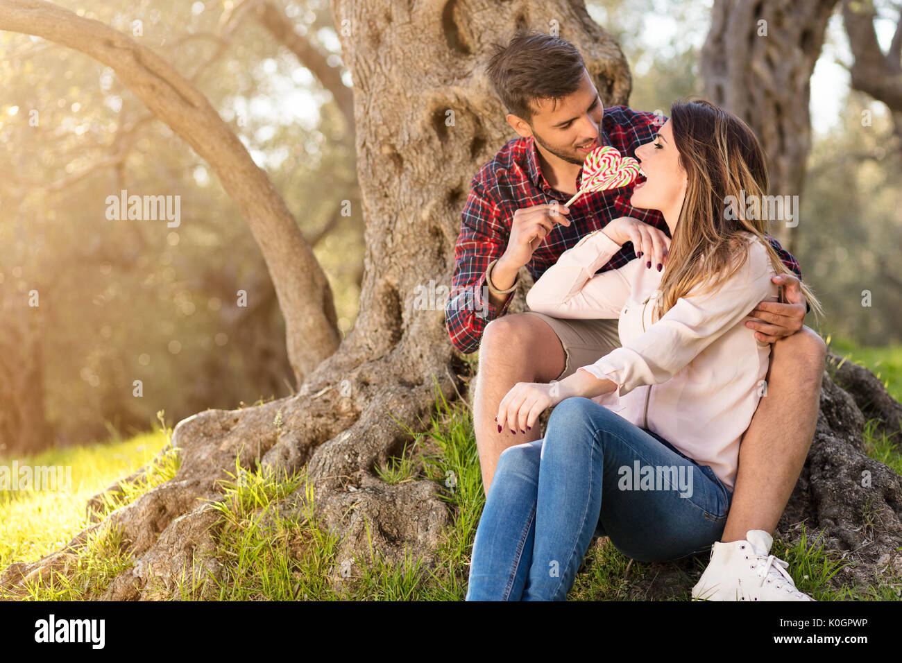 Loving couple under a big tree in the park in autumn Stock Photo - Alamy