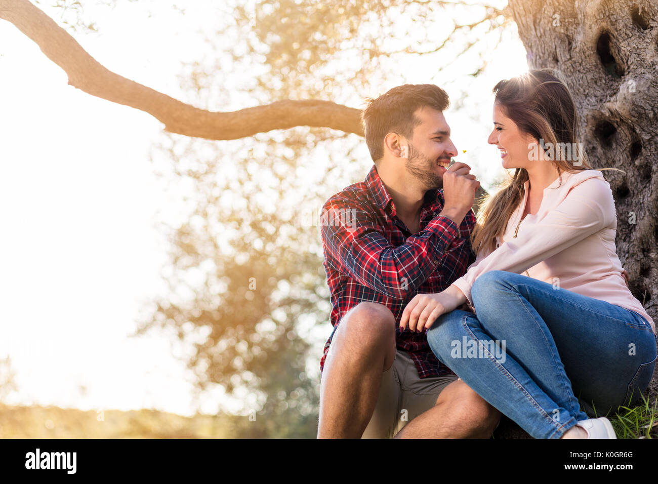 Loving couple under a big tree in the park in autumn Stock Photo - Alamy