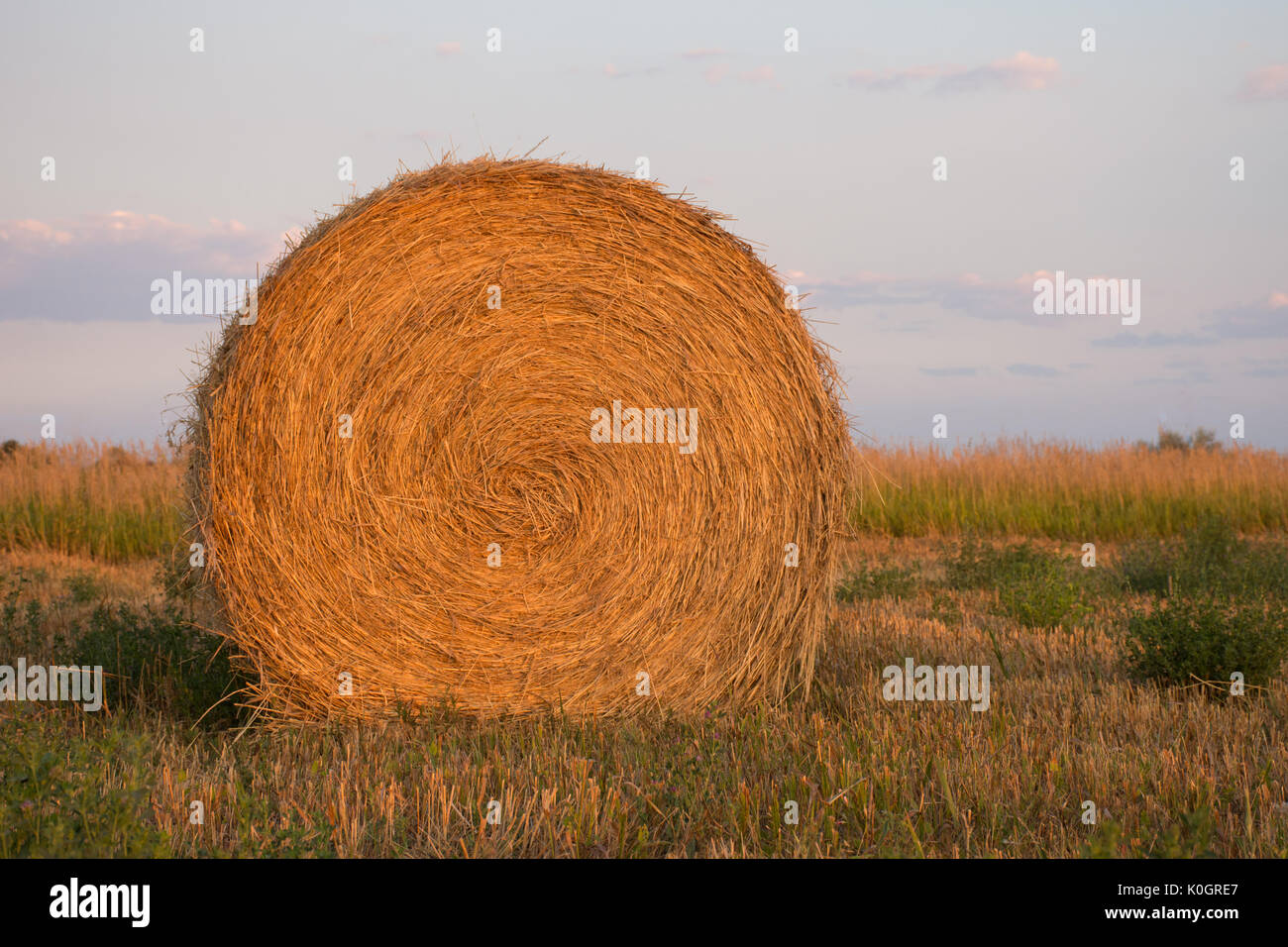 Round Hay Bale