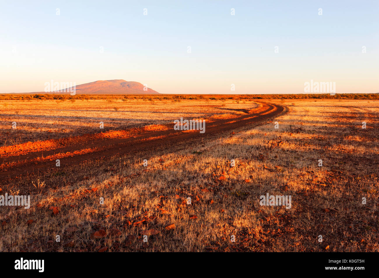 Mount Augustus, earth's largest rock in early morning light ...