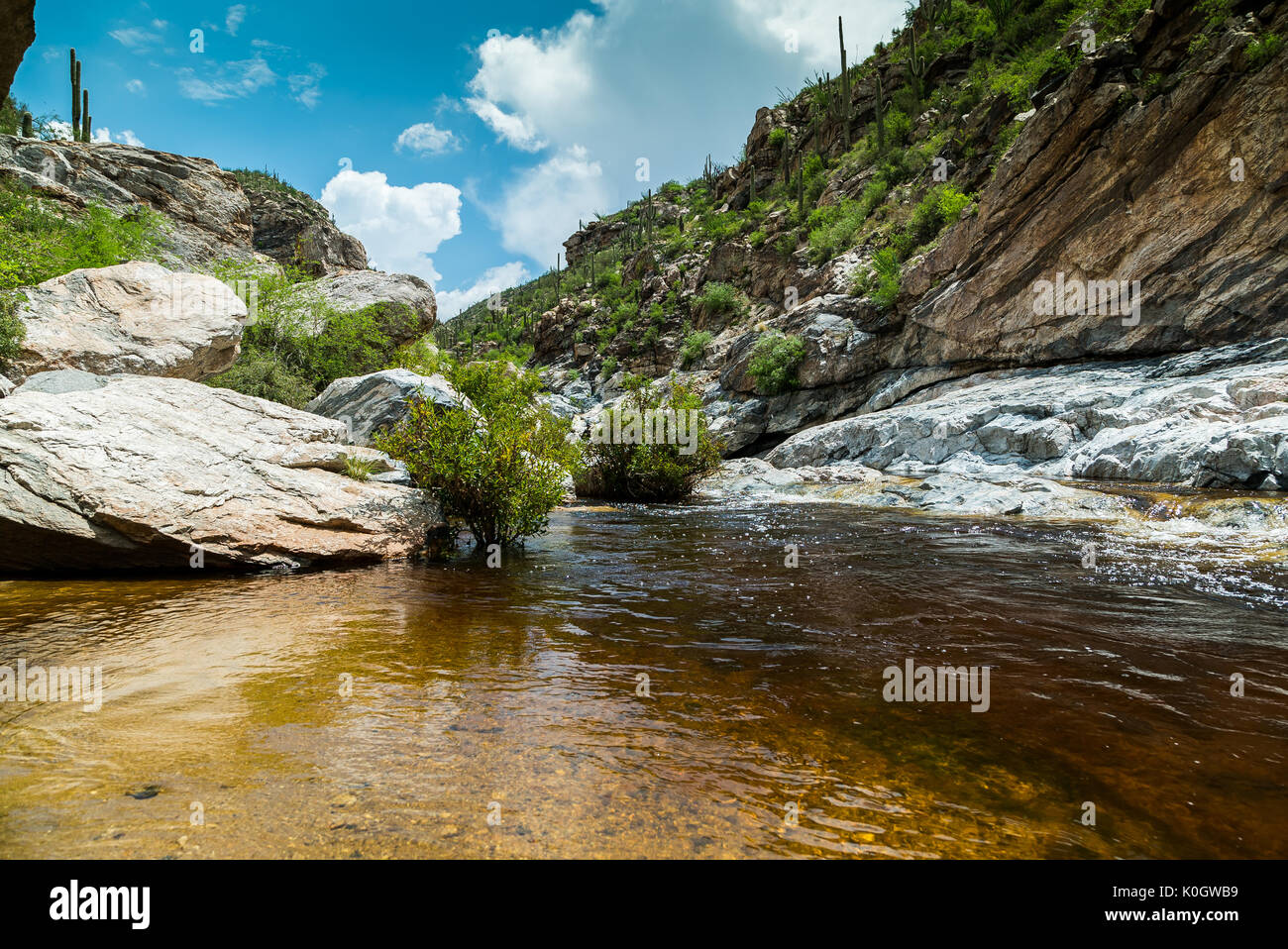 Tanque Verde hiking trail in Tuscon, Arizona Stock Photo - Alamy