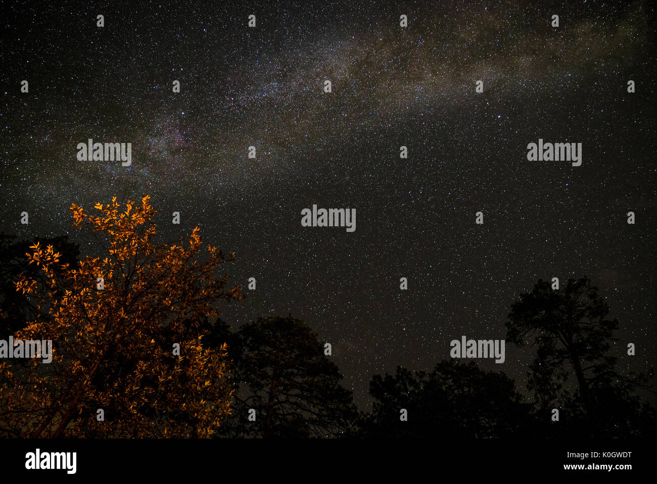 Milky Way Galaxy at Rose Garden, Mount Lemmon, Tucson, Arizona Stock ...