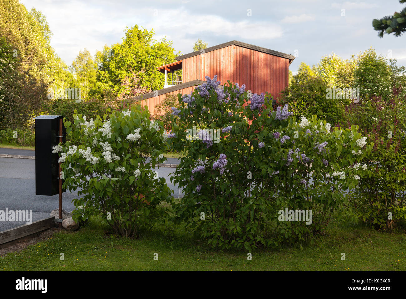 A few lilac or common lilac this side a red house. Letter-box to the ...