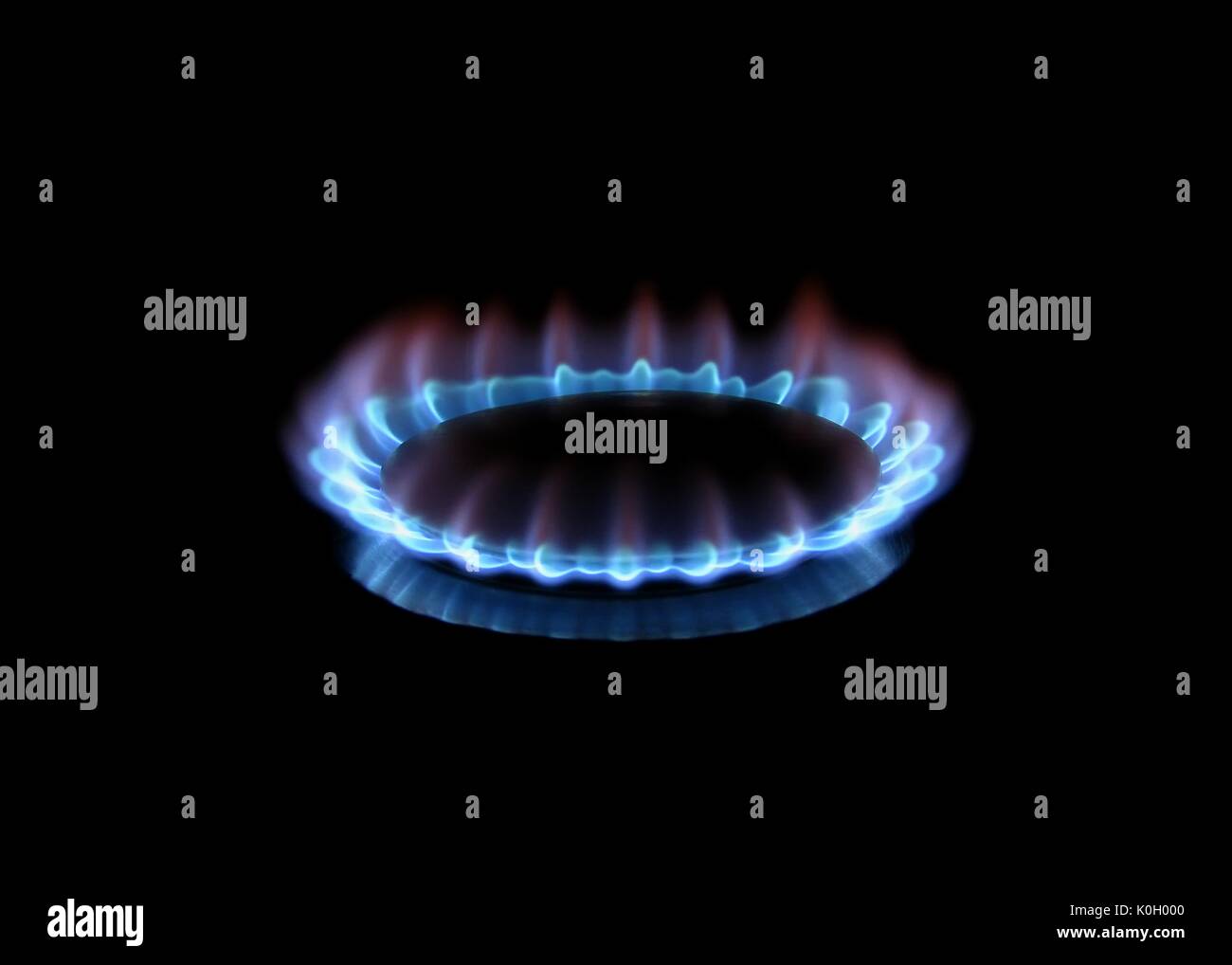 Blue flame from natural burning gas stove isolated against a black ...