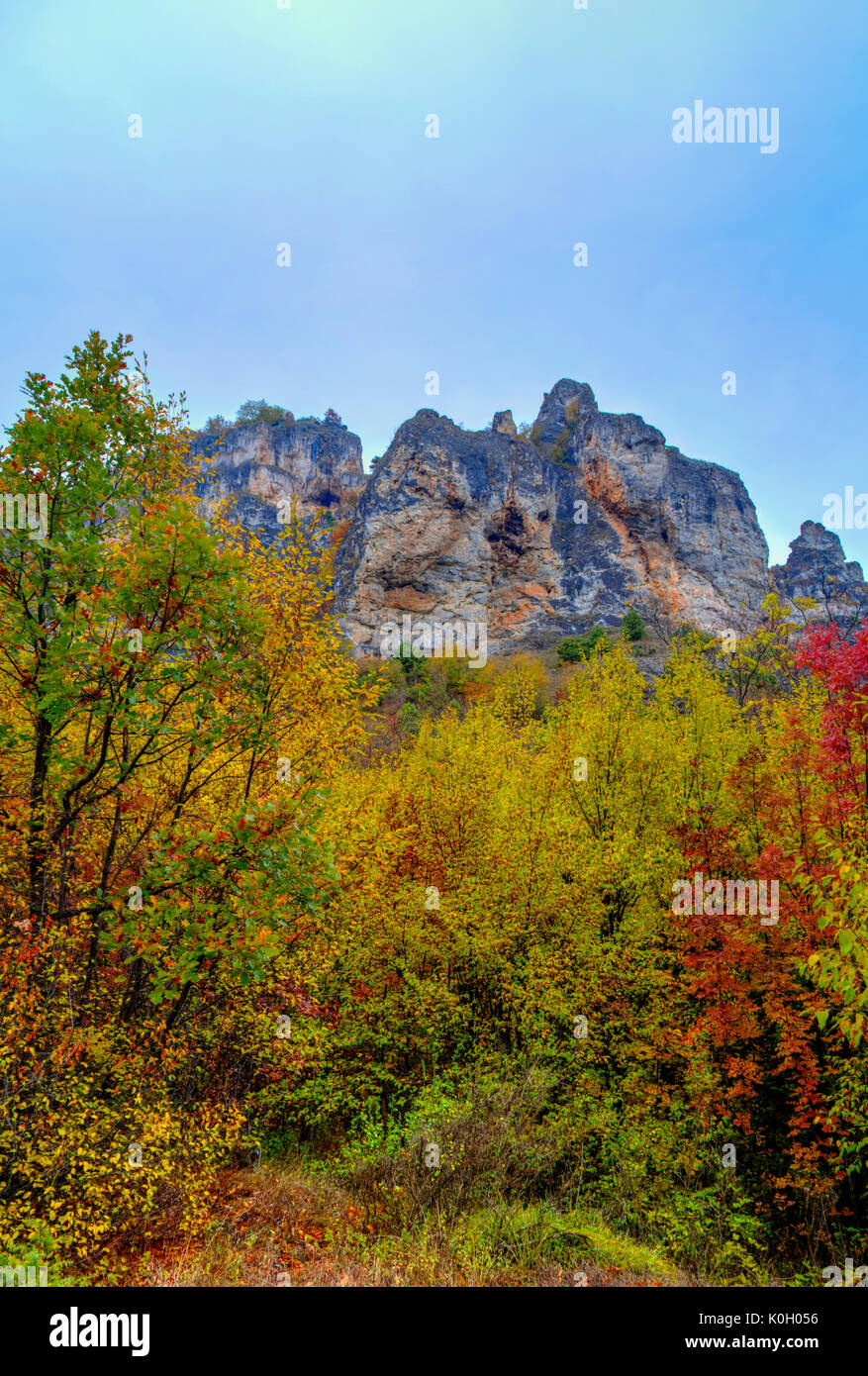 Beautiful landscape in the mountain with colorful autumn forest Stock ...