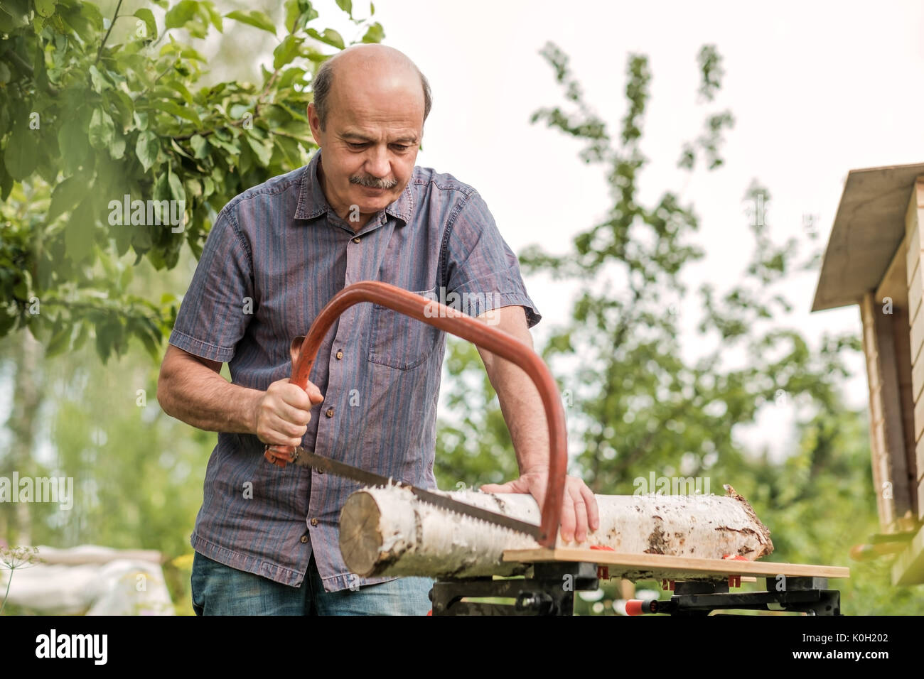 Sawing wood by hand hi-res stock photography and images - Alamy