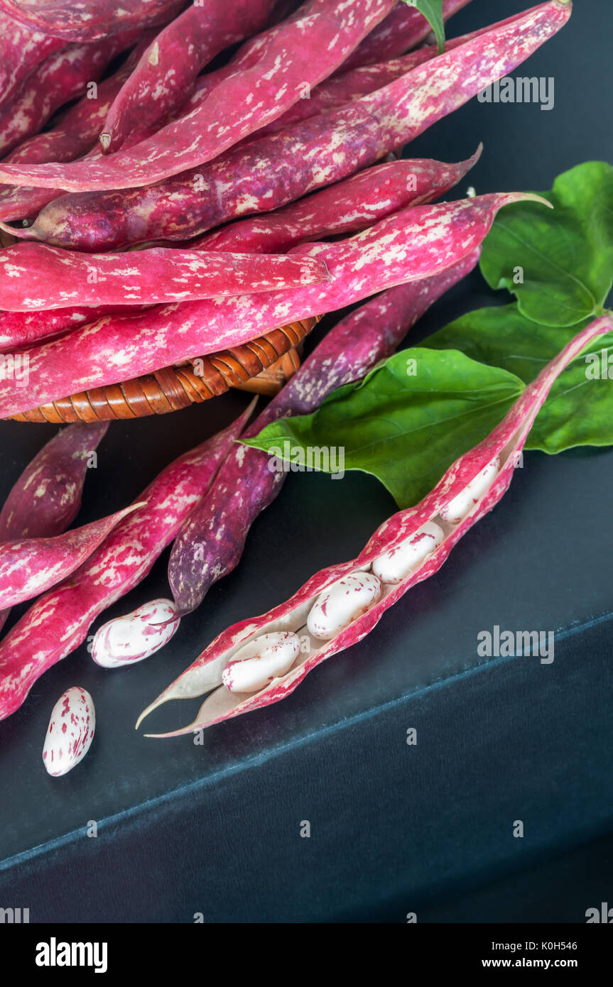 Red beans in pods on a dark background. Colored beans with leaves close ...