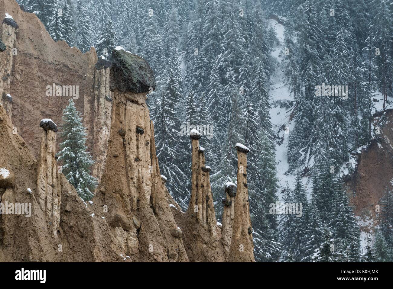 Perca/Percha, South Tyrol, Italy. The Earth Pyramids Stock Photo - Alamy