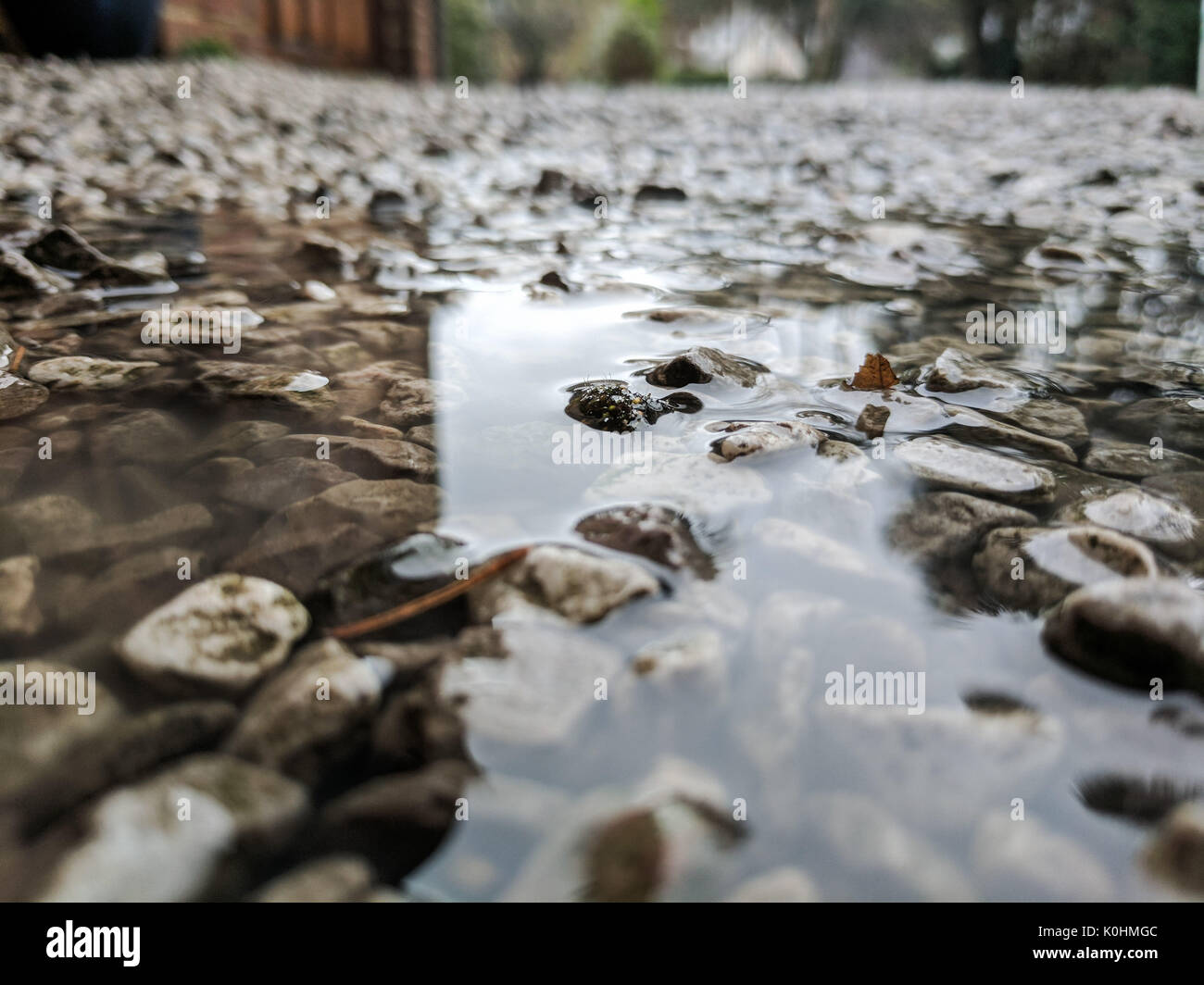 Clear puddle hi-res stock photography and images - Alamy