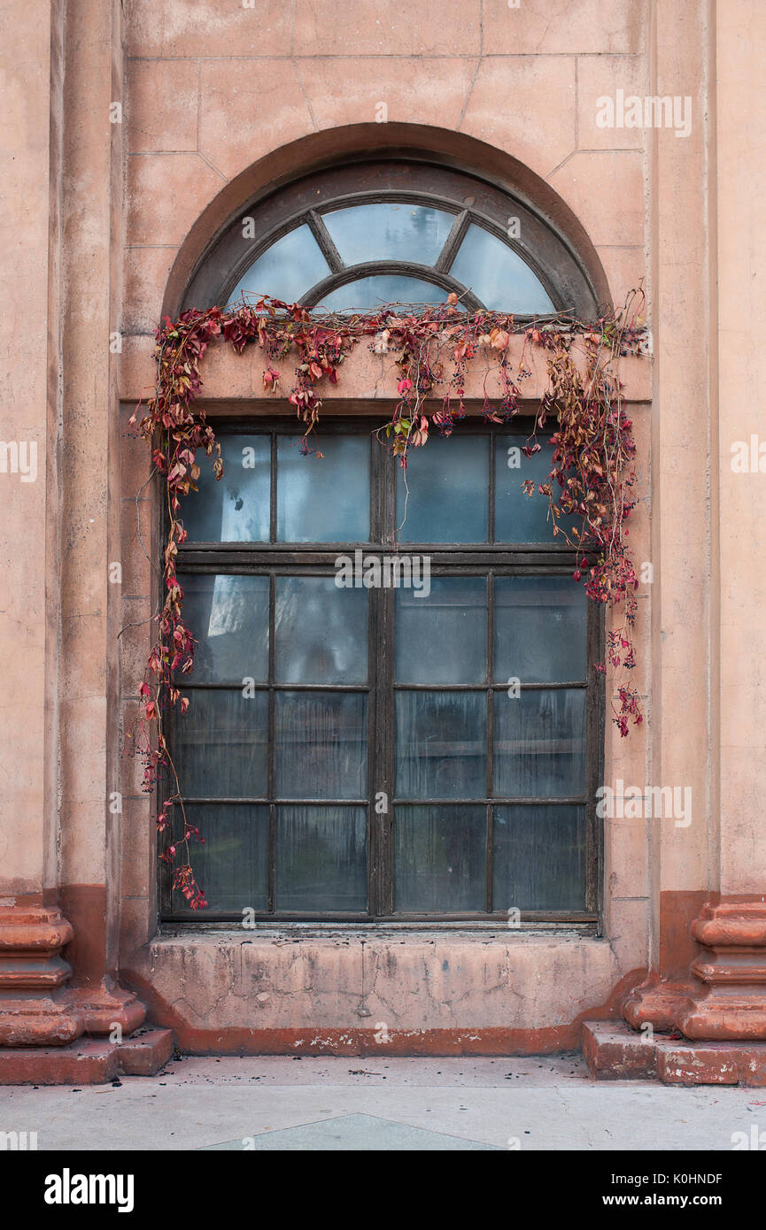 Old architecture window with columns Stock Photo - Alamy