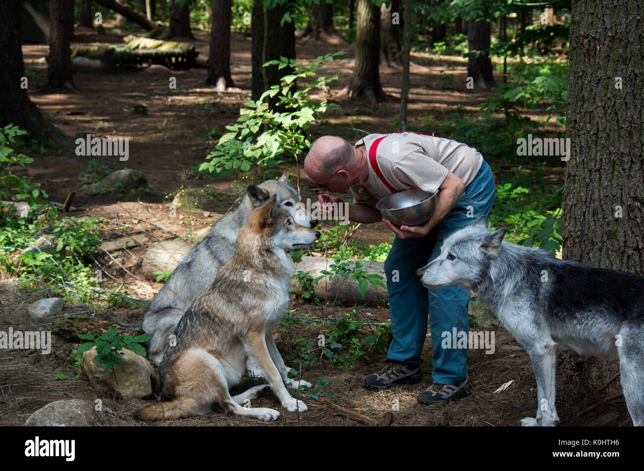Head takers hi-res stock photography and images - Alamy