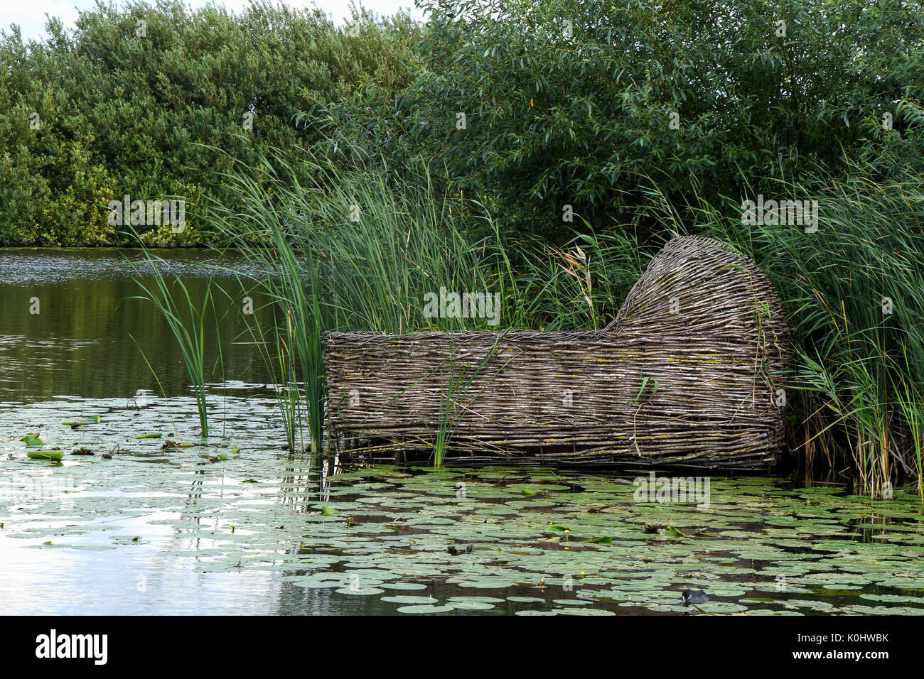 floating cradle basket in lily pads in Kinderdijk Netherlands Stock ...