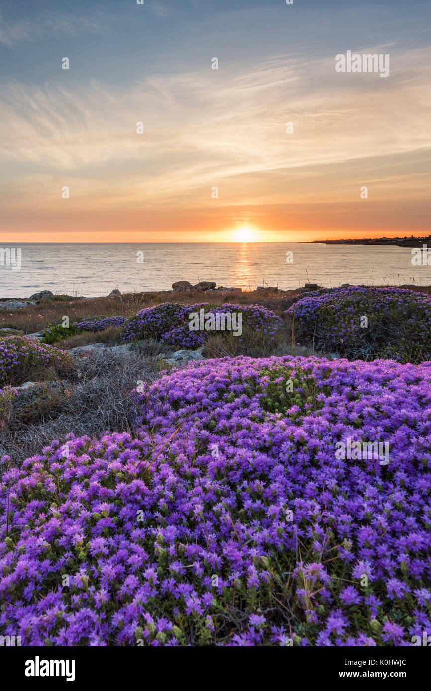 Capilungo, Alliste, province of Lecce, Salento, Apulia, Italy. Sunset ...