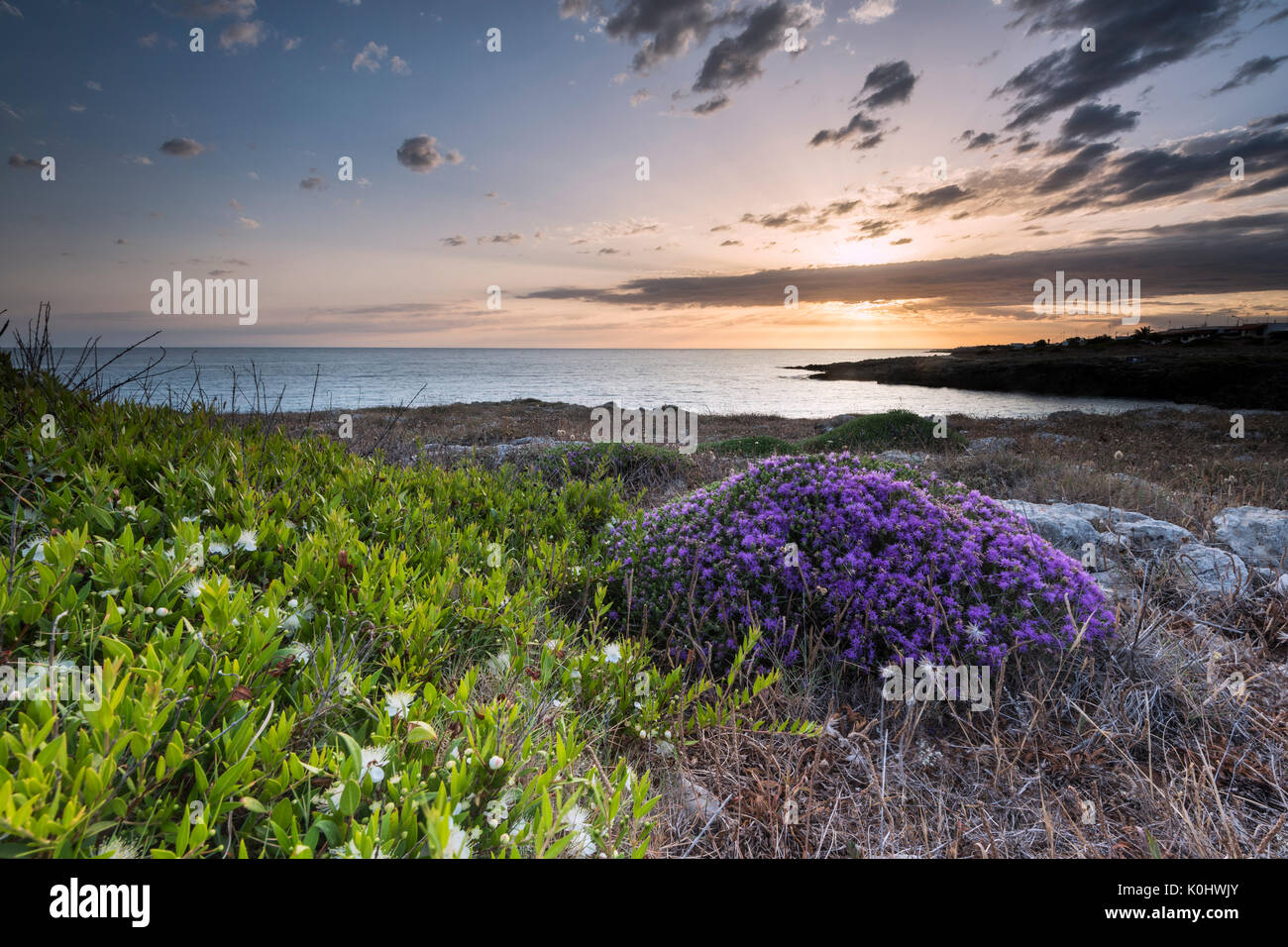 Capilungo, Alliste, province of Lecce, Salento, Apulia, Italy. Sunset ...