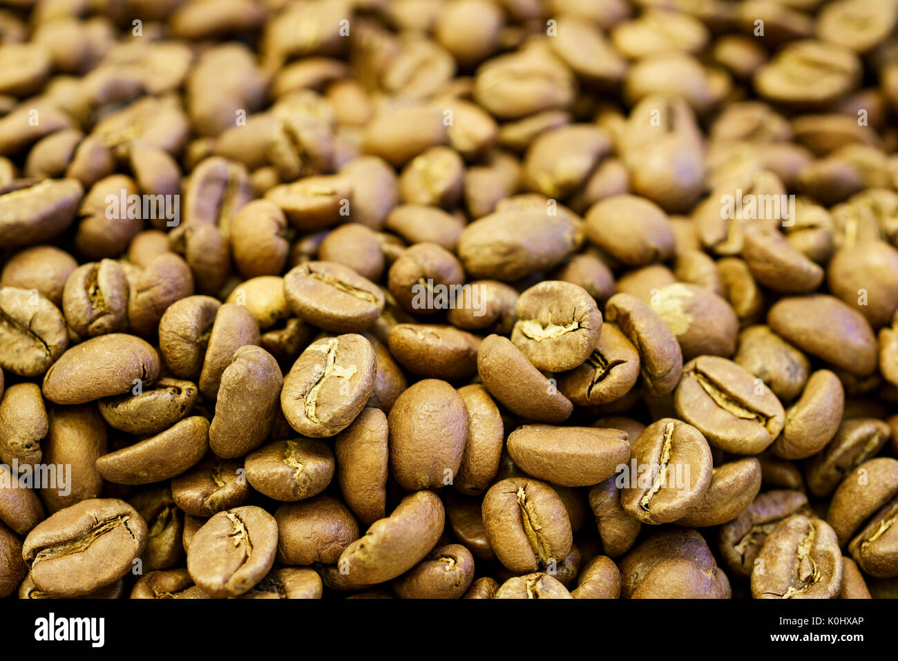 Coffee shoot hi-res stock photography and images - Alamy