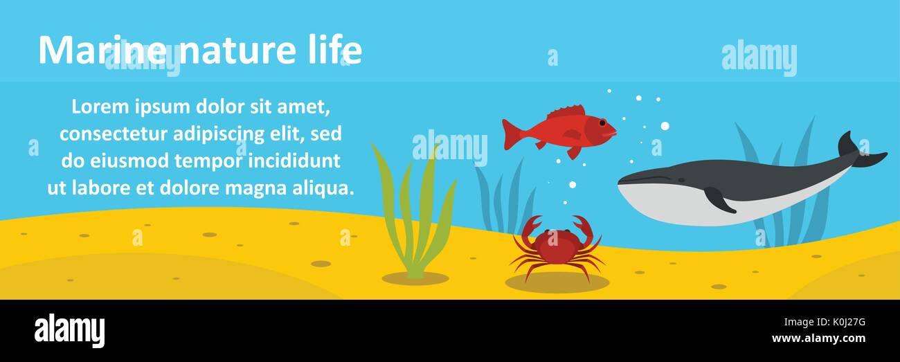 Marine nature life banner horizontal concept Stock Vector Image & Art ...
