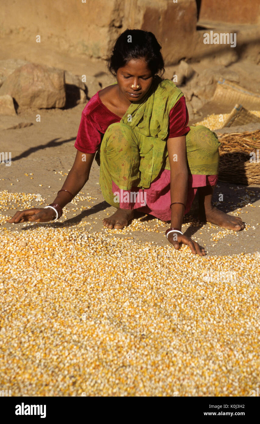 Saora tribal girl with dried corn, Odisha (Orissa), India Stock Photo ...