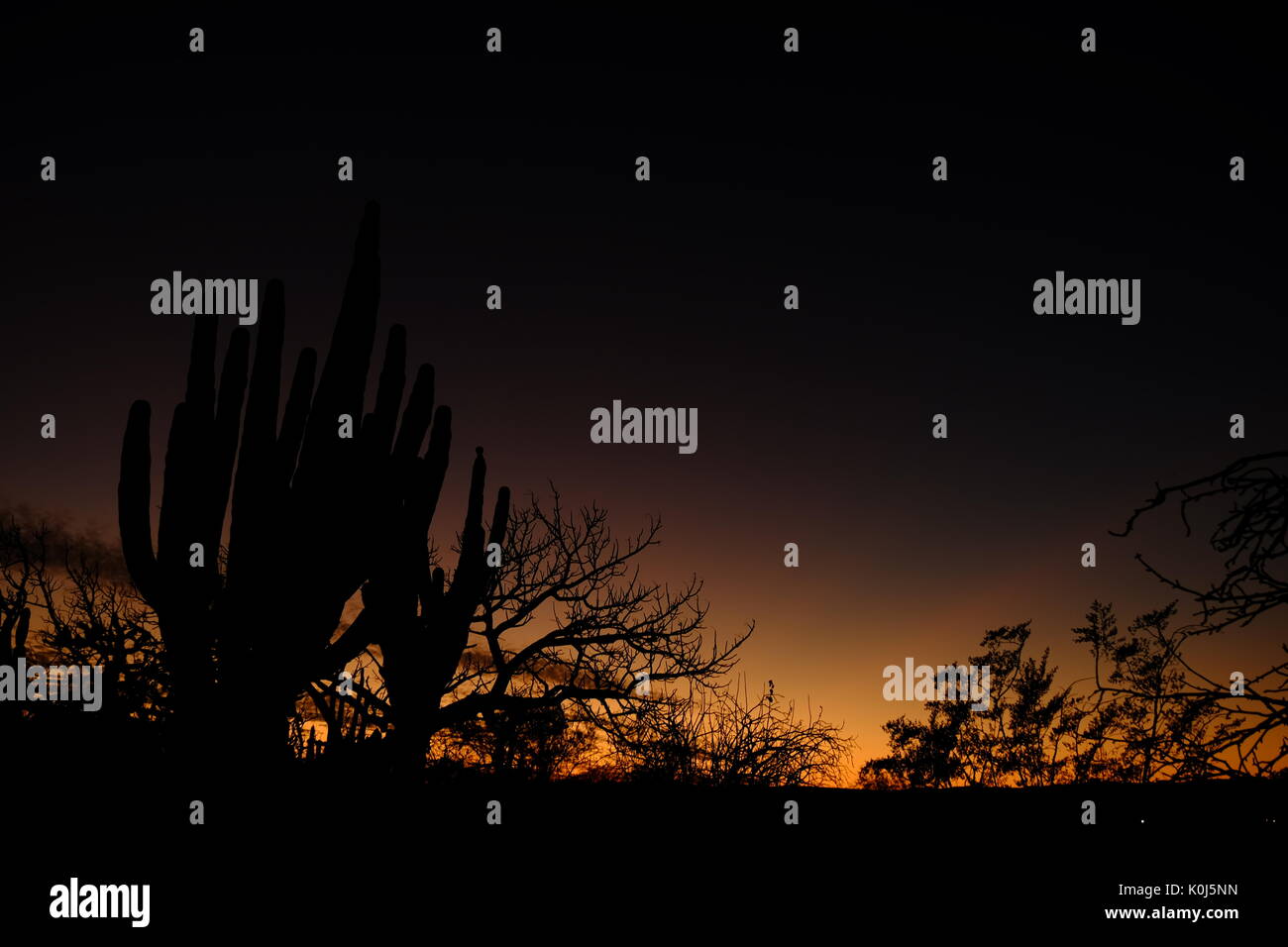 Sunset in desert, Baja California, Mexico Stock Photo - Alamy