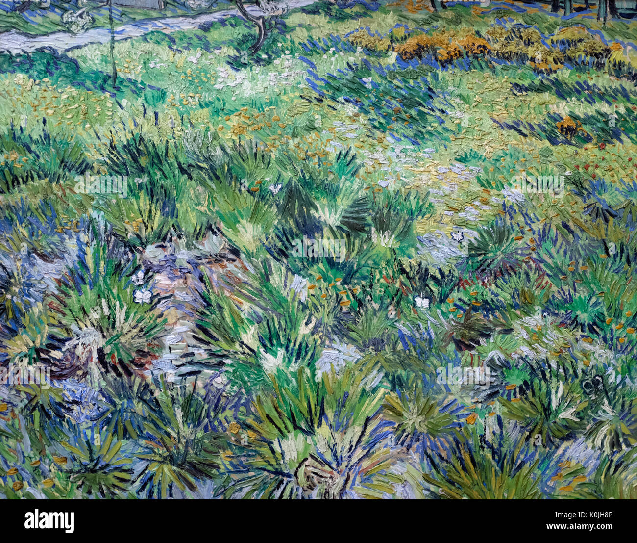 Long Grass with Butterflies, 1890 - Vincent Van Gogh Stock Photo - Alamy
