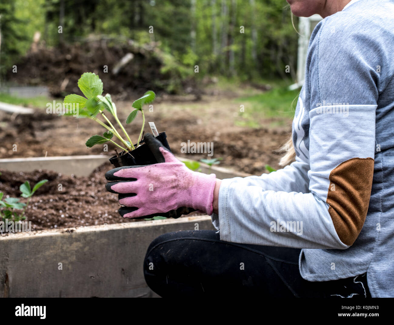 Raised bed before planting hi-res stock photography and images - Alamy