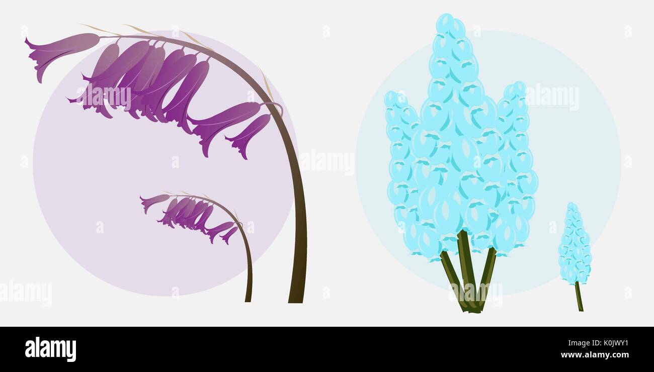 Spring flowers isolated.Vector illustration Stock Vector Image & Art ...