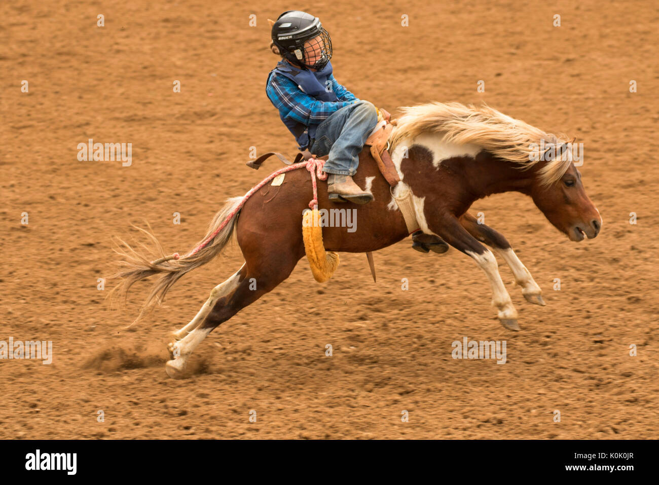 Bareback riding hi-res stock photography and images - Alamy