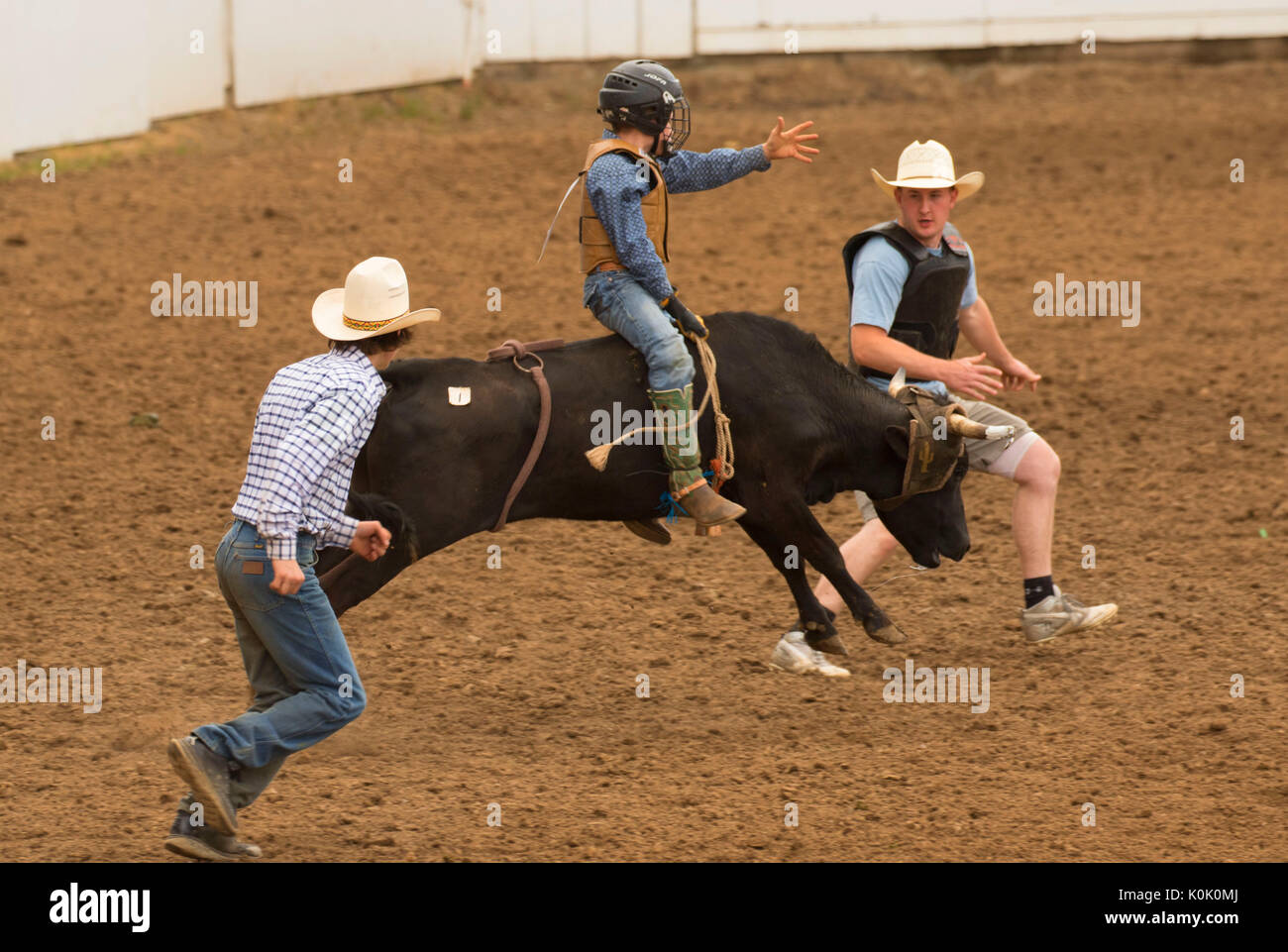 Bull Riding, St Paul Junior Rodeo, St Paul, Oregon Stock Photo - Alamy
