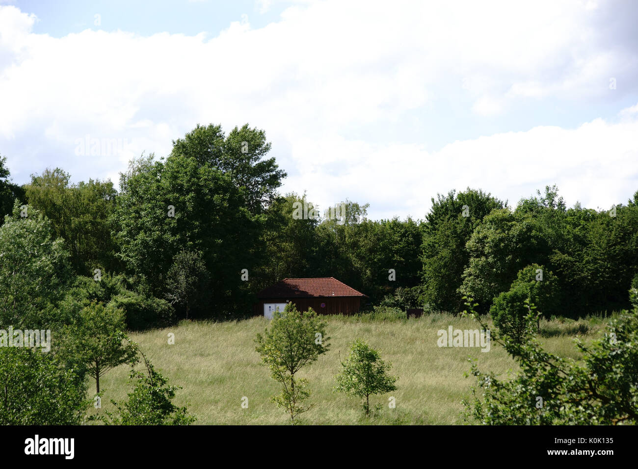 A hut is surrounded by trees and bushes on a forest edge Stock Photo ...