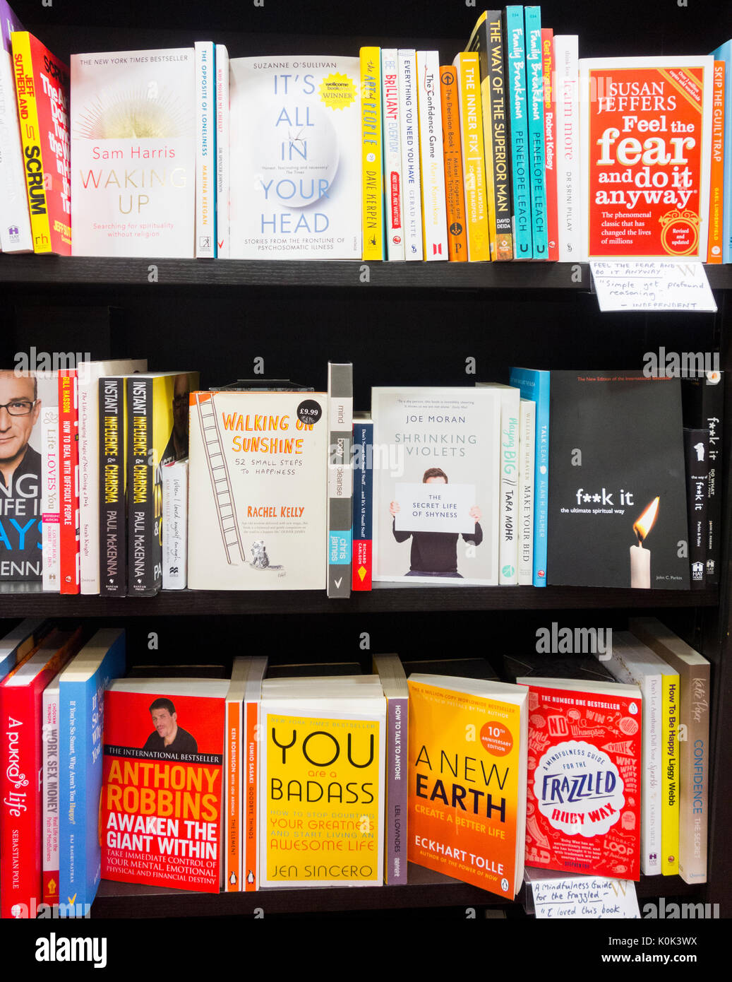 Book shop display hi-res stock photography and images - Alamy