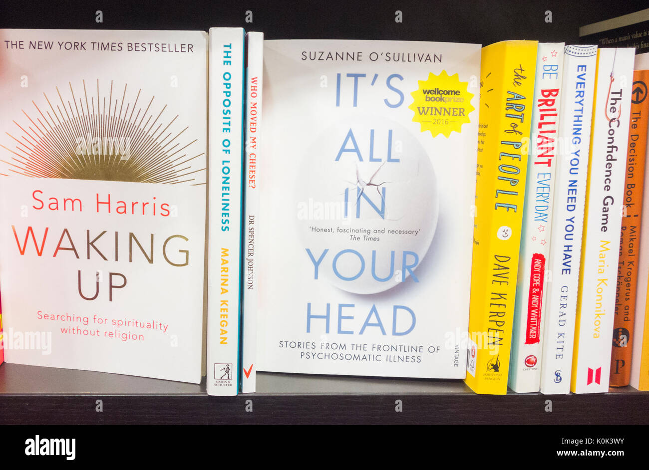 'self help' book (shelf or shelves) hi-res stock photography and images ...