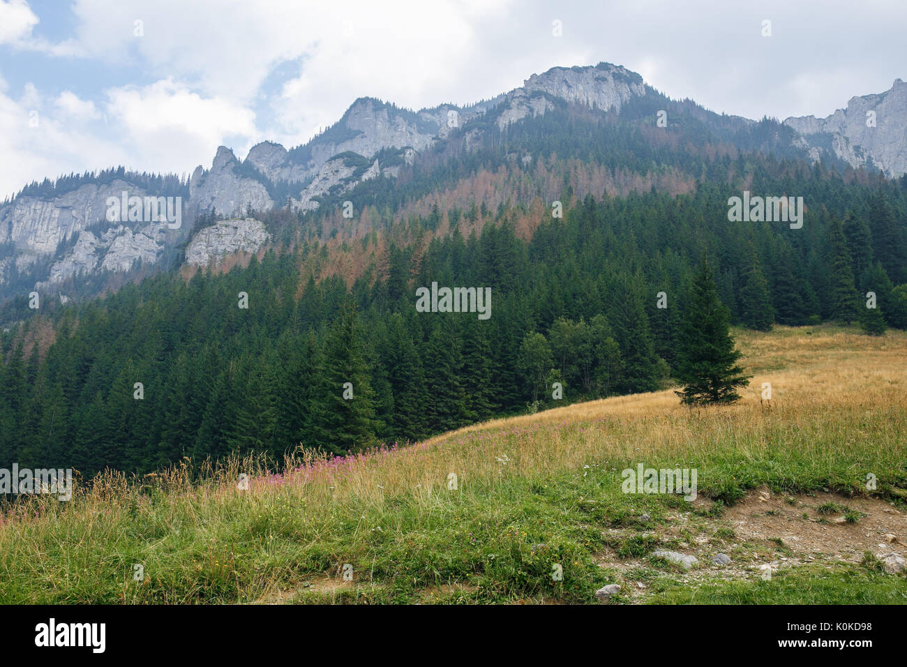 Big Tatry at Poland and Slovakia. Wild animals, beutiful nature, lakes ...