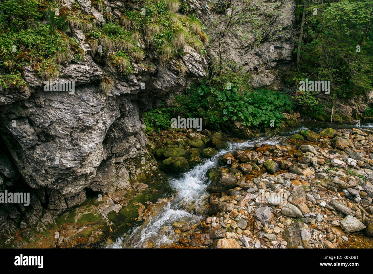 Big Tatry at Poland and Slovakia. Wild animals, beutiful nature, lakes ...