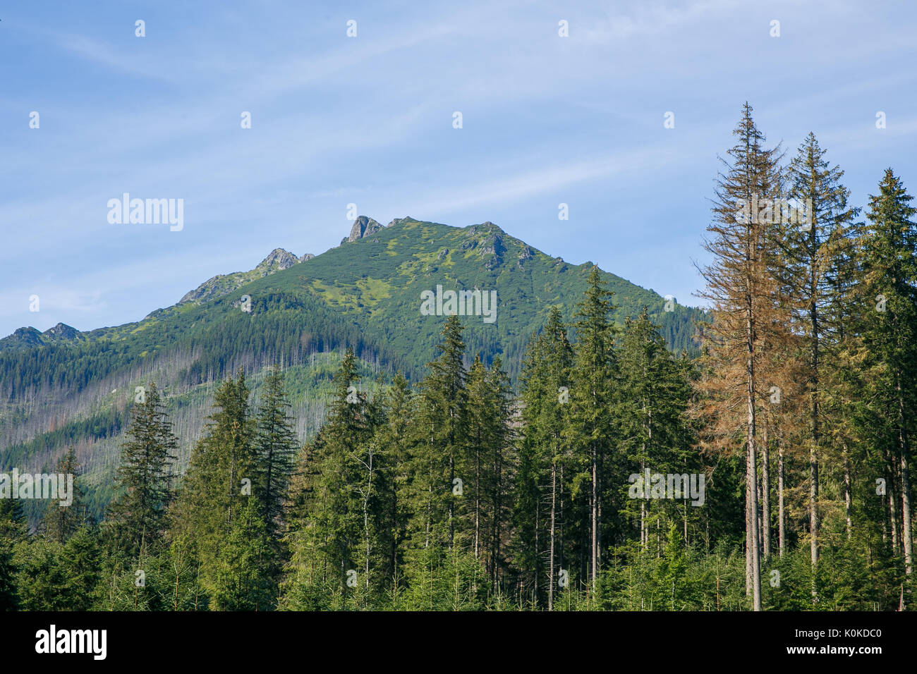 Big Tatry at Poland and Slovakia. Wild animals, beutiful nature, lakes ...