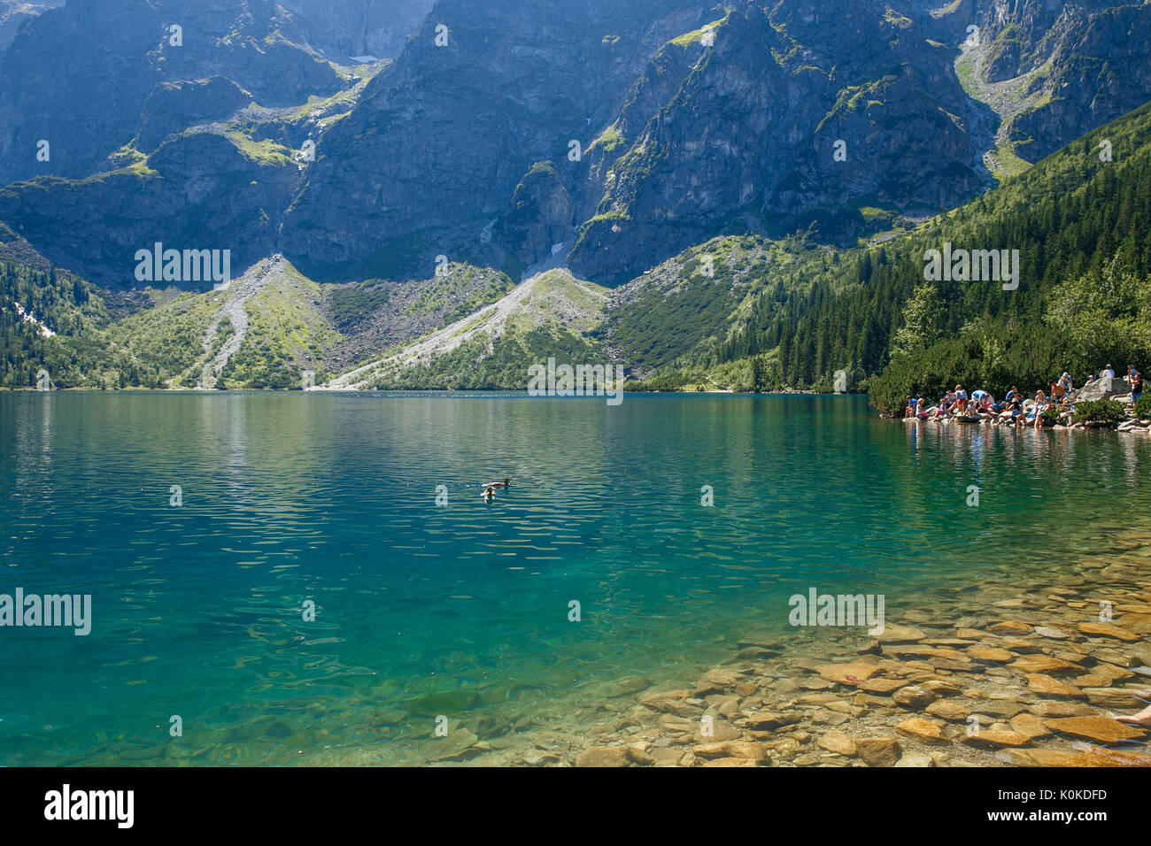 Big Tatry at Poland and Slovakia. Wild animals, beutiful nature, lakes ...