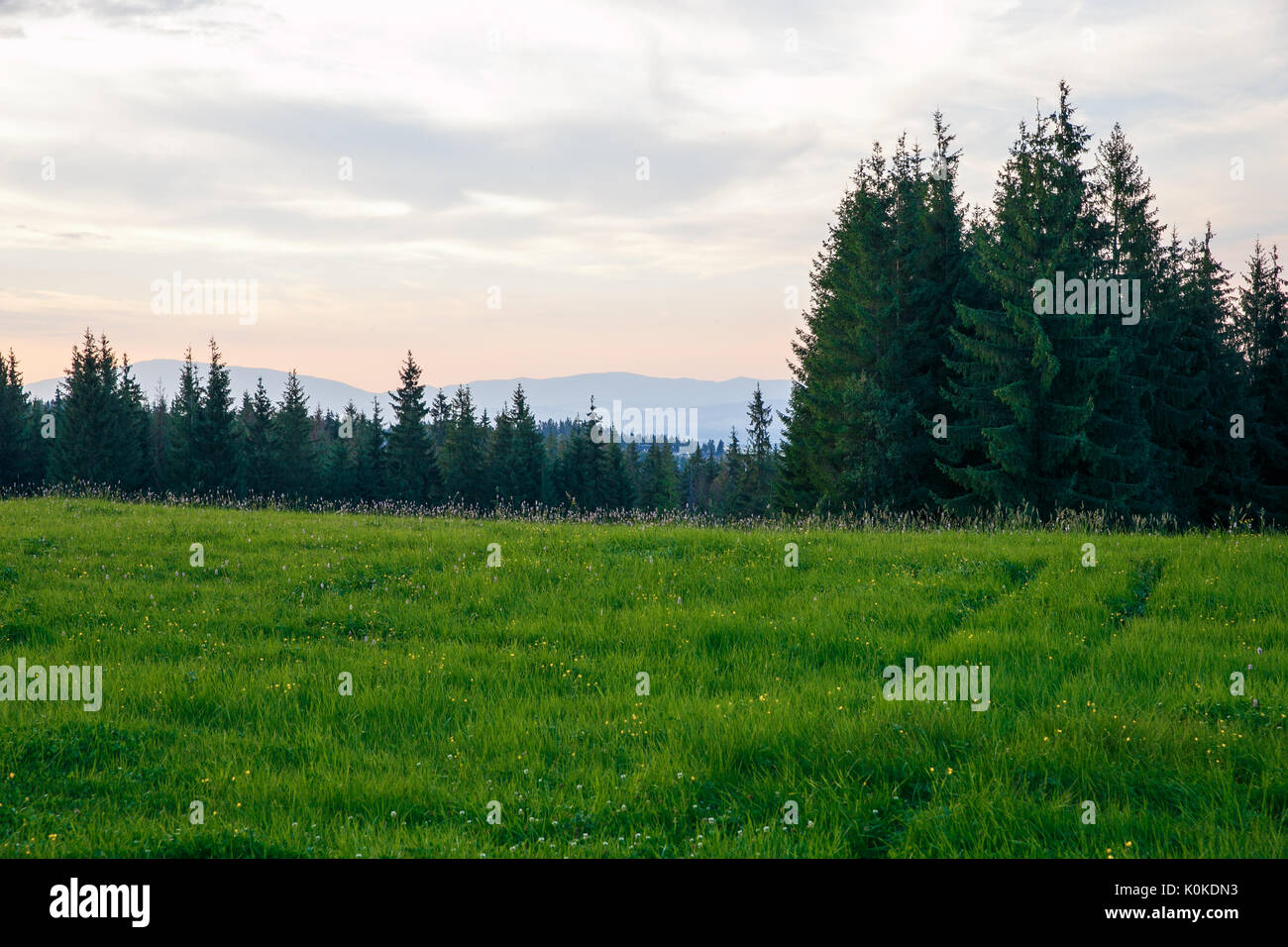 Big Tatry at Poland and Slovakia. Wild animals, beutiful nature, lakes ...