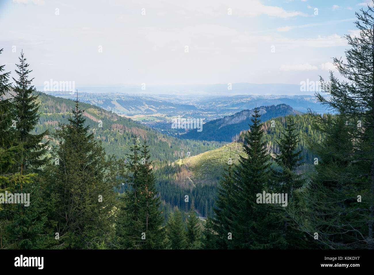 Big Tatry at Poland and Slovakia. Wild animals, beutiful nature, lakes ...
