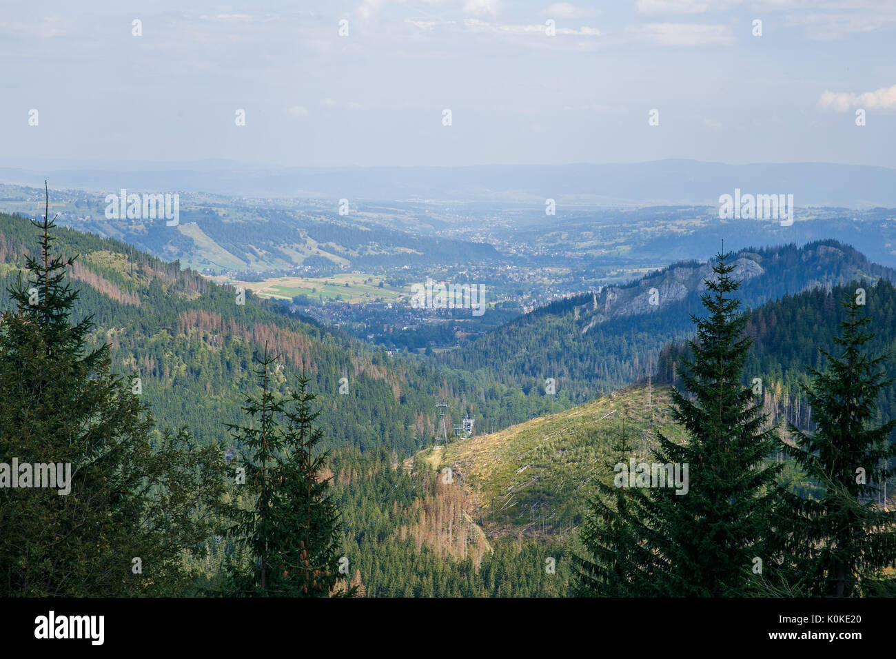Big Tatry at Poland and Slovakia. Wild animals, beutiful nature, lakes ...
