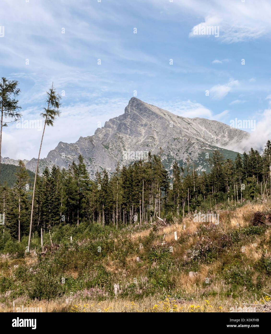 Krivan peak from Ticha dolina valley near Podbanske resort in High ...