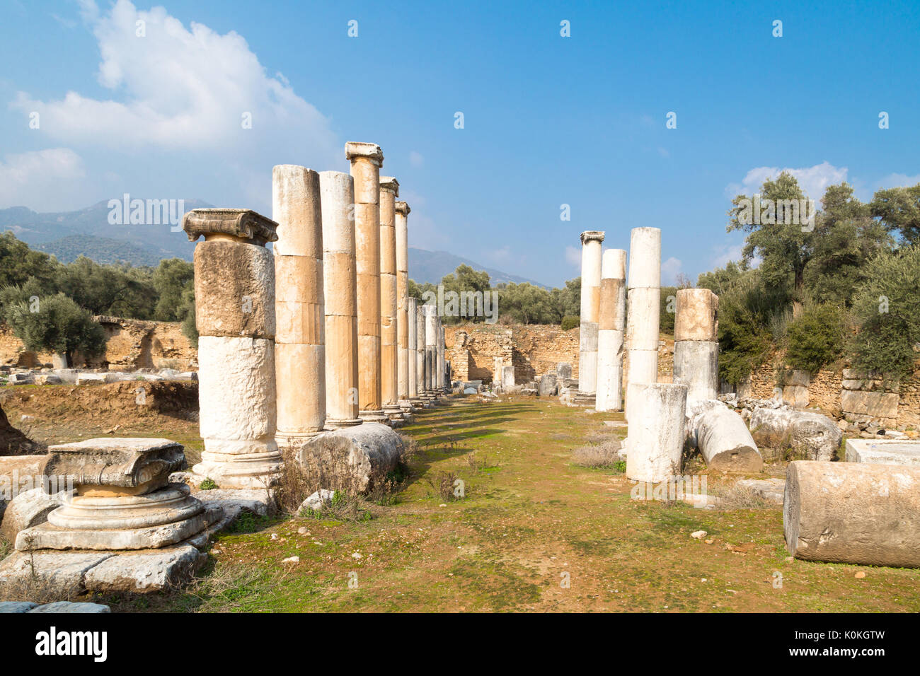 Historical heritage, agora of Nysa ancient city in Aydin, Turkey Stock ...