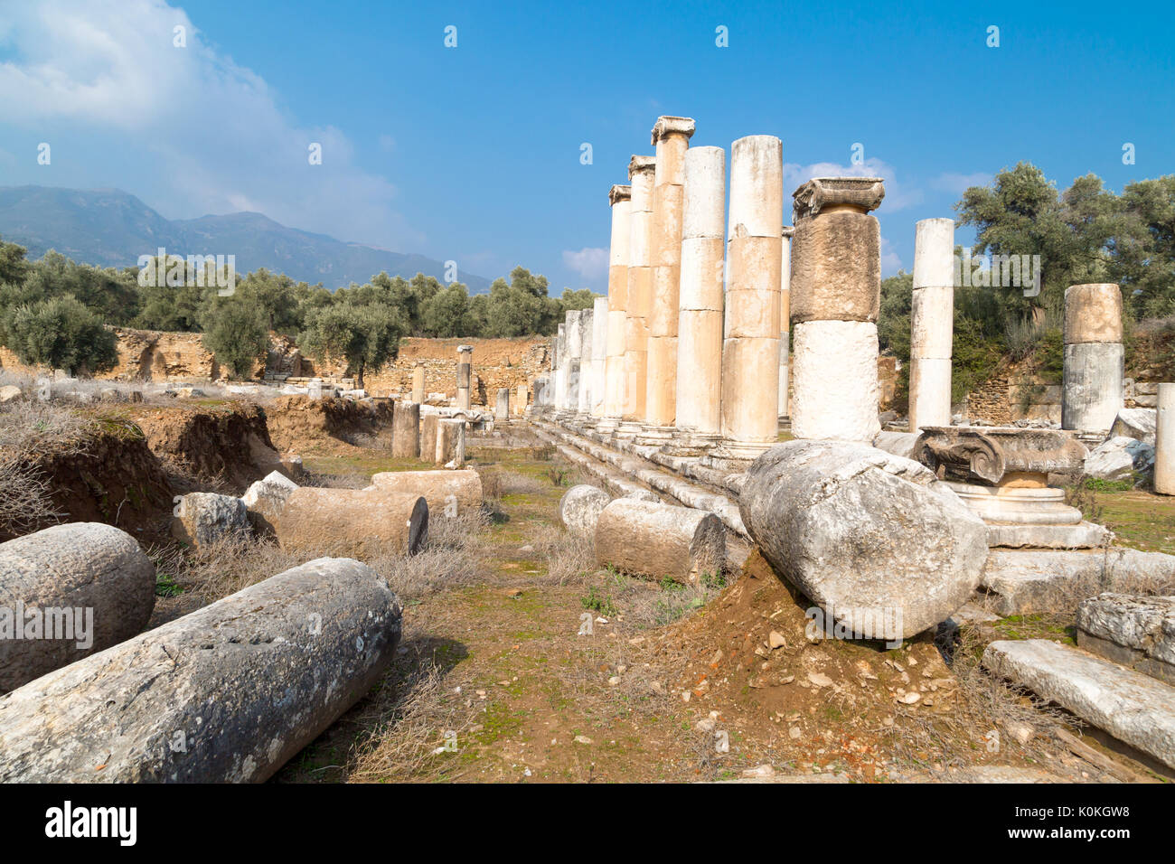 Historical heritage, agora of Nysa ancient city in Aydin, Turkey Stock ...