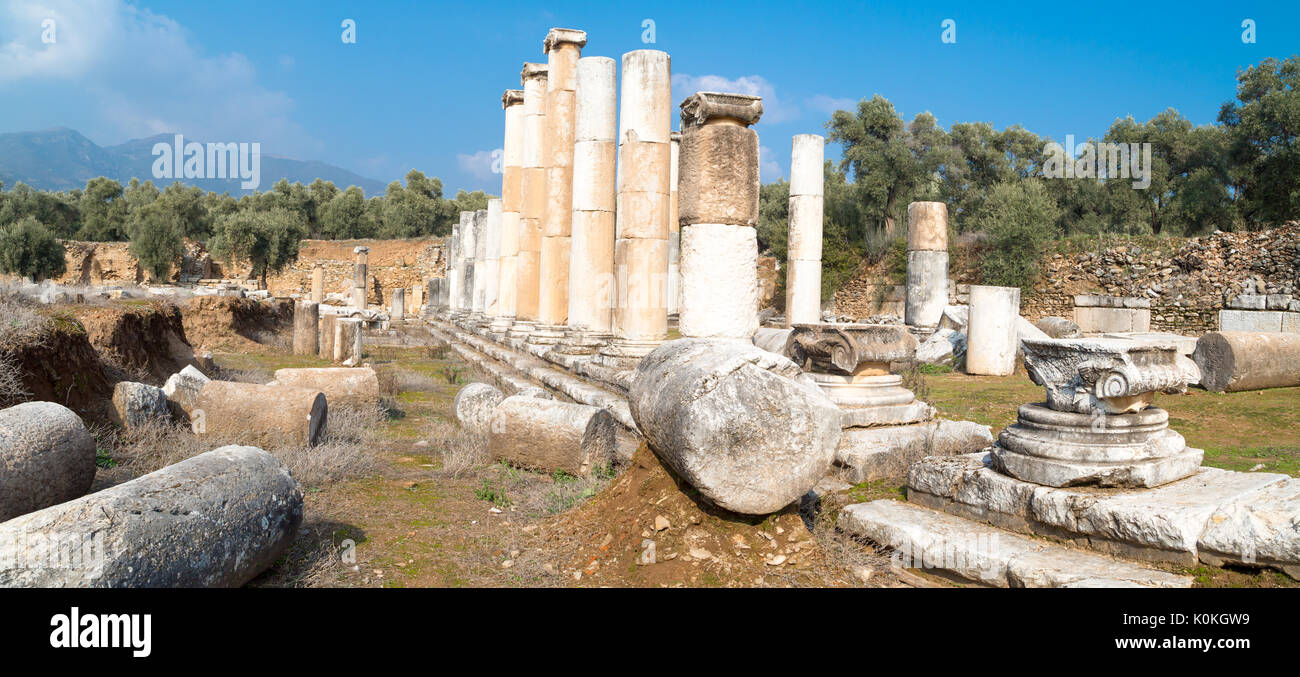 Historical heritage, agora of Nysa ancient city in Aydin, Turkey Stock ...