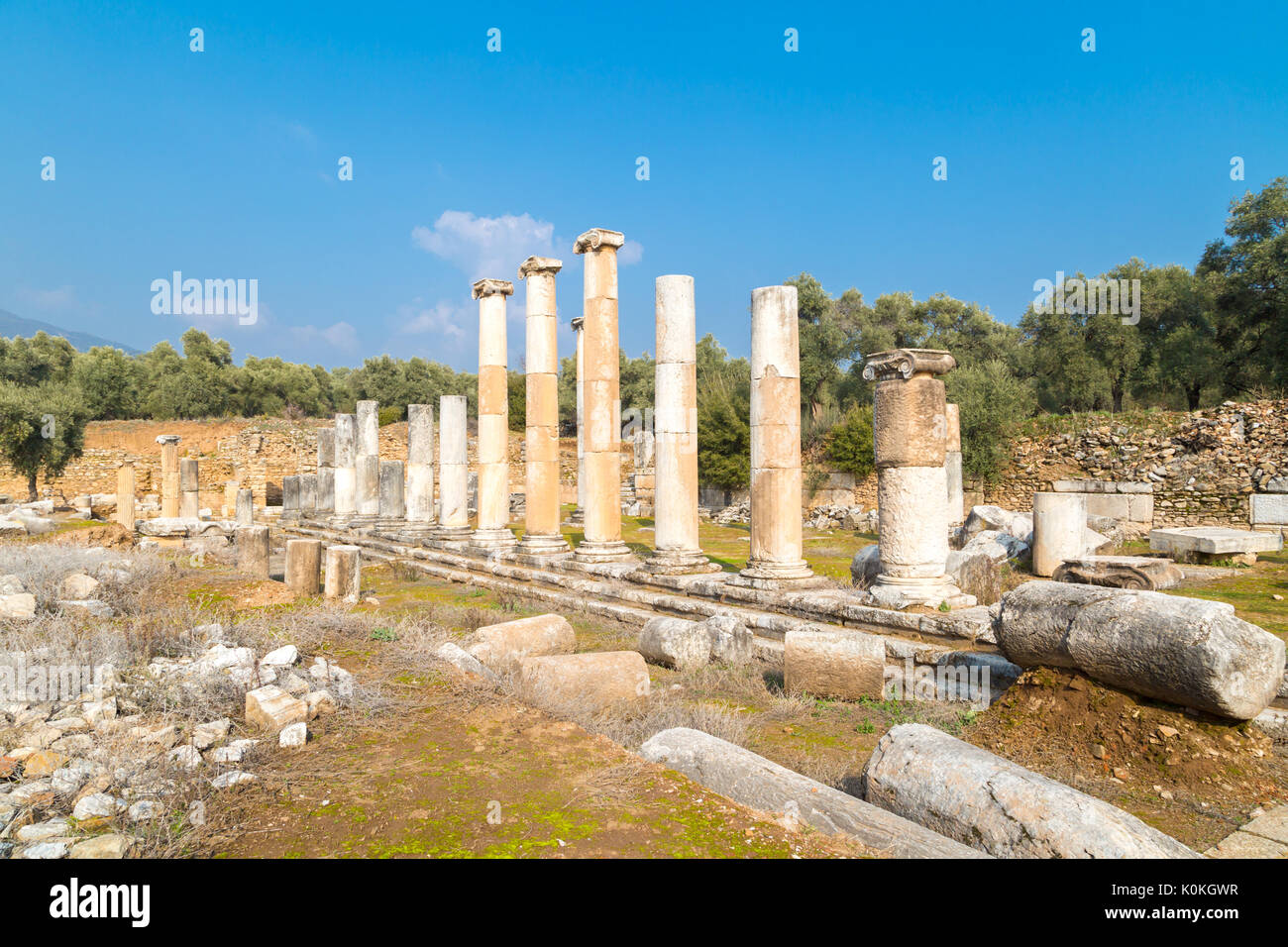 Historical heritage, agora of Nysa ancient city in Aydin, Turkey Stock ...