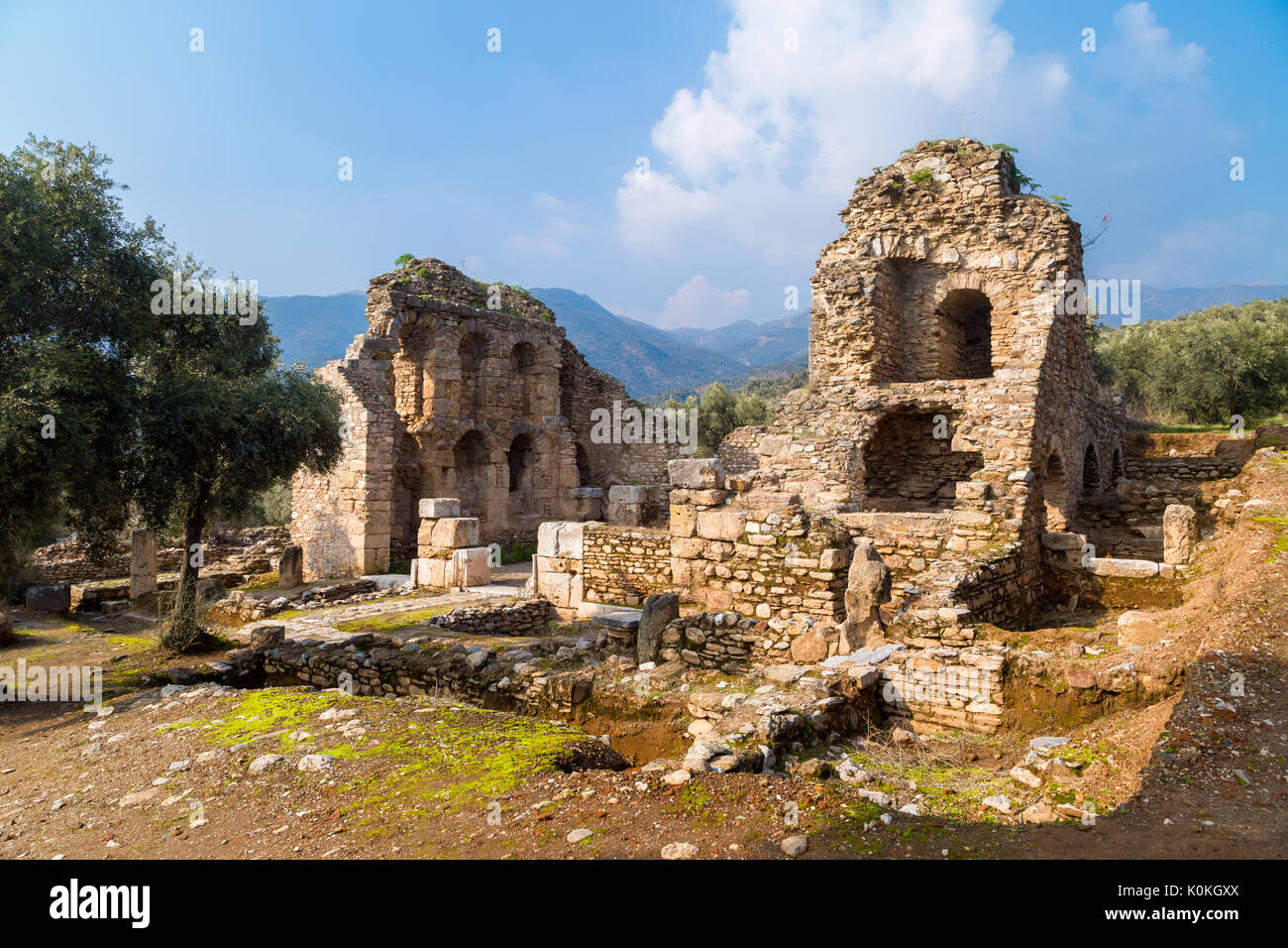 Historical heritage, Library of Nysa ancient city in Aydin, Turkey ...